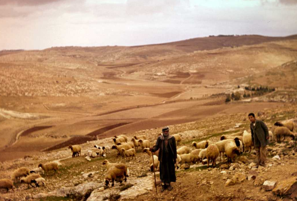 M’Cheyne Bible Reading Plan, March 20 – Grace Still Amazes